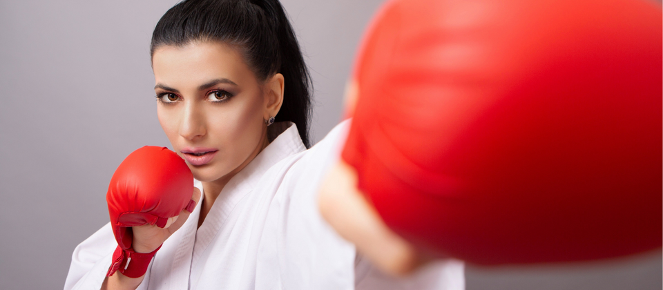 Karate practice equipment – Combat Arena