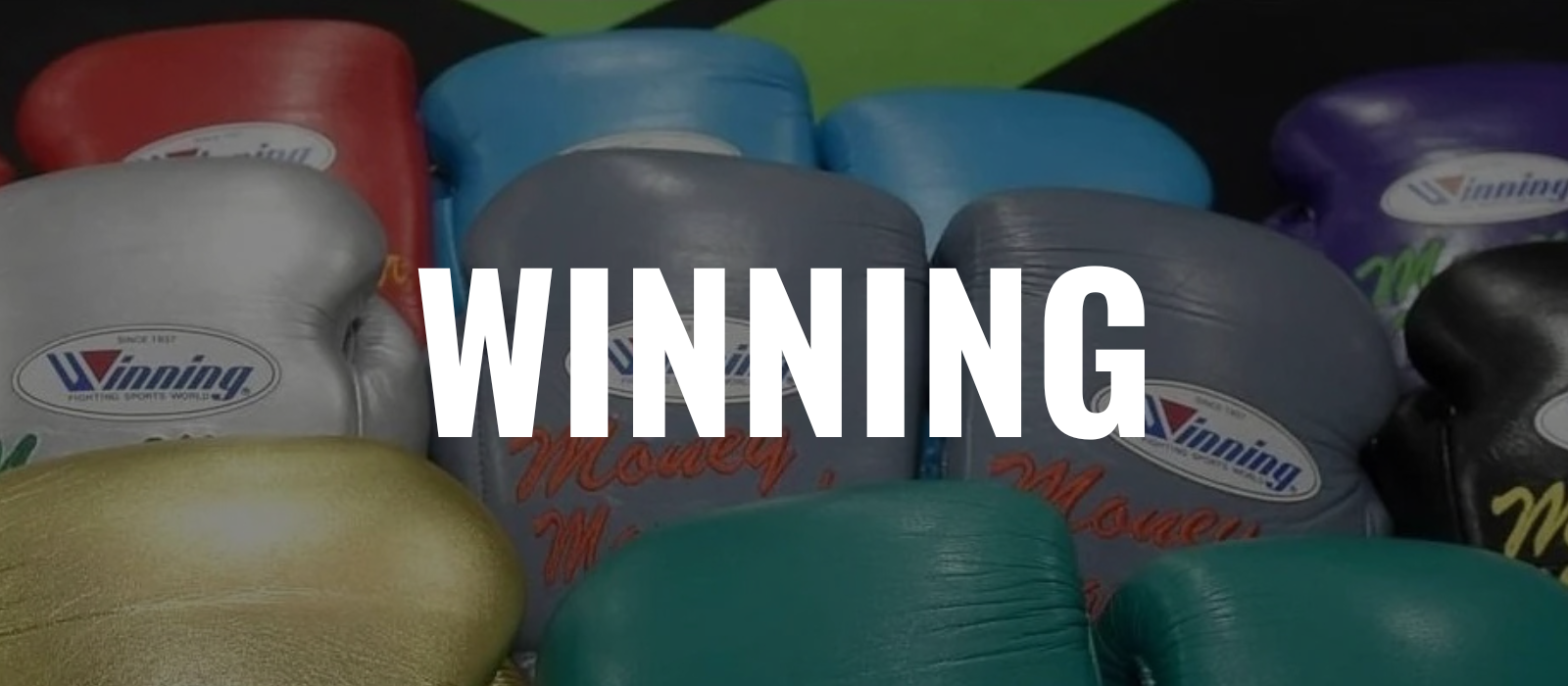 Winning Boxing Gloves: Quality and Performance Made in Japan – Combat Arena