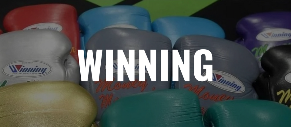 Winning Boxing Gloves: Quality and Performance Made in Japan – Combat Arena