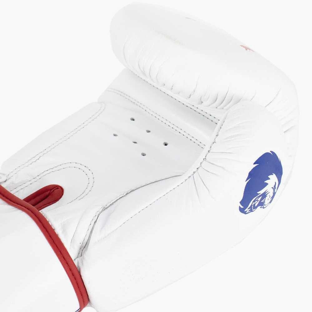 Boxing gloves Super Pro Warrior - CombatArena.net – Combat Arena