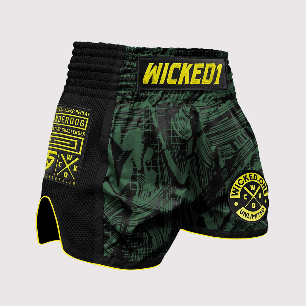 Wicked One - Combat Arena