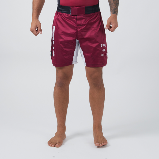 Shorts No-Gi Kingz Born to Rule - CombatArena.net – Combat Arena